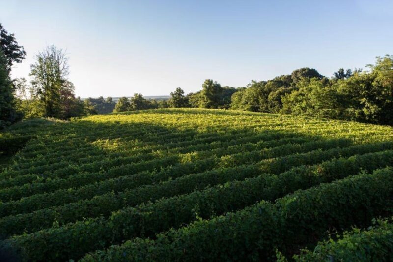 Alto Piemonte: Private Wine Tasting - FAQs