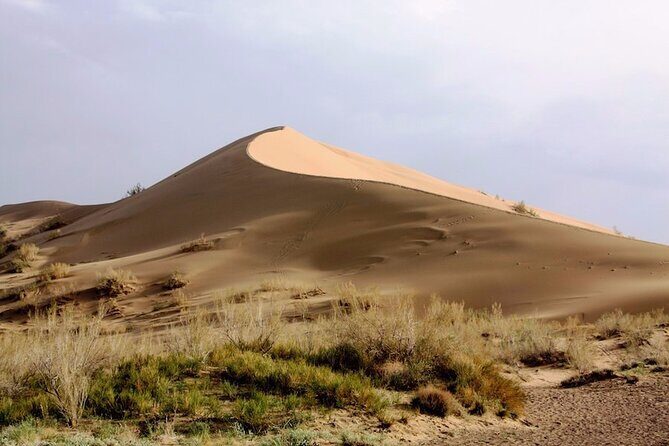 Altyn Emel Desert Escape: 2-Day SUV Tour to Singing Dune & Aktau - Key Points
