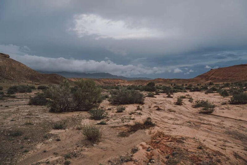 Altyn-Emel National Park: 1-Day Adventure - Authenticity and Tips for Travelers