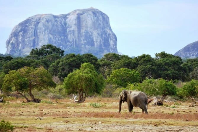 Aluthgama City to Colombo (CMB) Airport Private Transfer - How This Transfer Adds Value to Your Trip