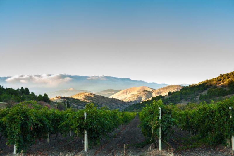 Amador County Wine Tasting Digital Passport - An Authentic Taste of Californias Sierra Foothills
