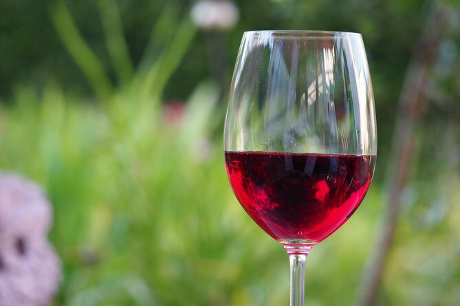 Amador County Wine Tasting Tours max 14 pax Private Wine Tours - Discovering the Wineries of Amador County