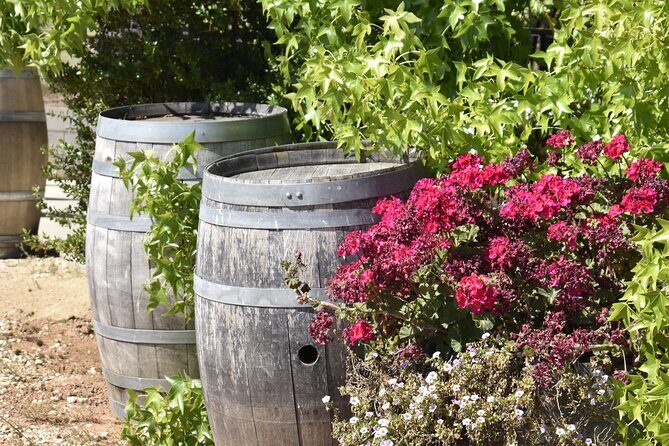 Amador County Wine Tasting Tours max 14 pax Private Wine Tours - Who Should Consider This Tour?