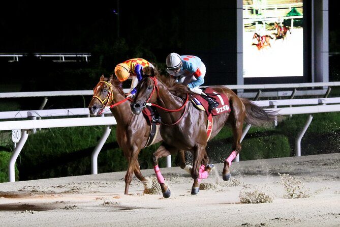 Amagasaki Retro Tour: Showa era-style bar & horse race experience - Exploring the Details of the Amagasaki Retro Tour