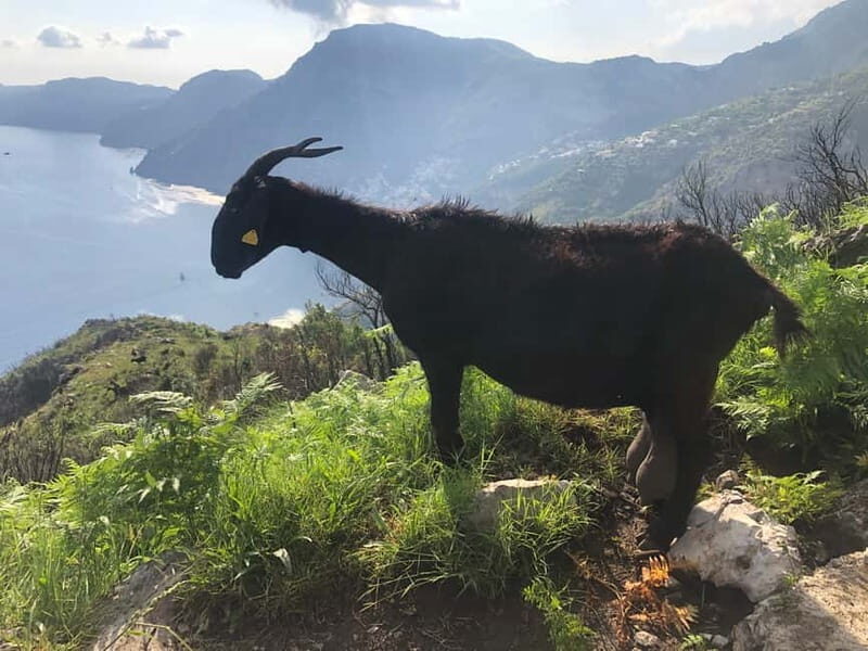 Amalfi Coast: Bomerano to Nocelle  The Path of the Gods - The Practicalities of the Tour