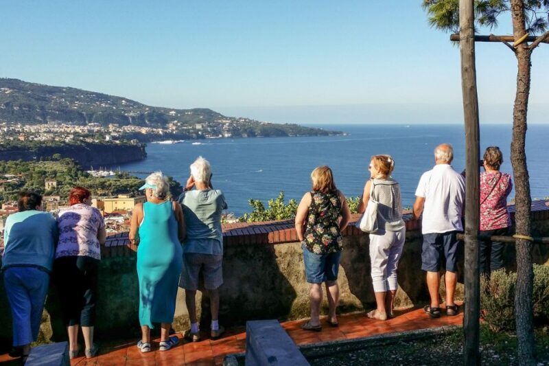 Amalfi Coast Full-Day Tour from Sorrento - The Drive Along the Amalfi Coast: A Scenic Adventure