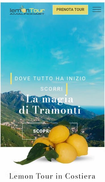 Amalfi Coast: lemon tour with tasting - FAQ