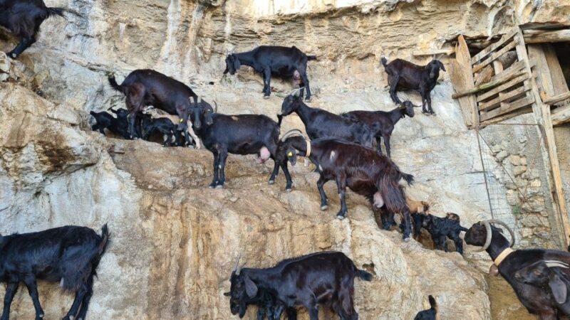 Amalfi Coast: Path of Gods Hike & Food at the Shepherd's Hut - FAQ