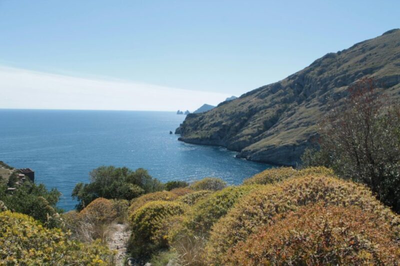 Amalfi coast private tour from sorrento on Itama 50 - Who Would Love This Experience?