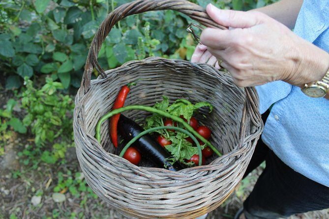 Amalfi Coast & Sorrento Cooking Class School at Farmhouse - What to Expect from the Amalfi Coast & Sorrento Cooking Class