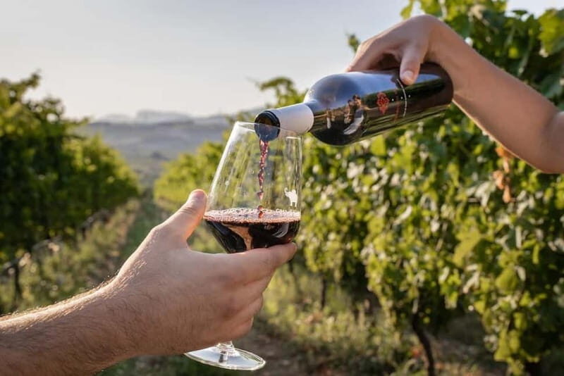 Amalfi Coast: Vineyard Tour with Wine Tasting and Lunch - Breaking Down the Experience