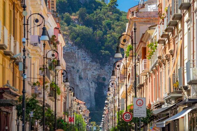 Amalfi Coast with Wine Tasting - Private Driving Tour from Rome - FAQs