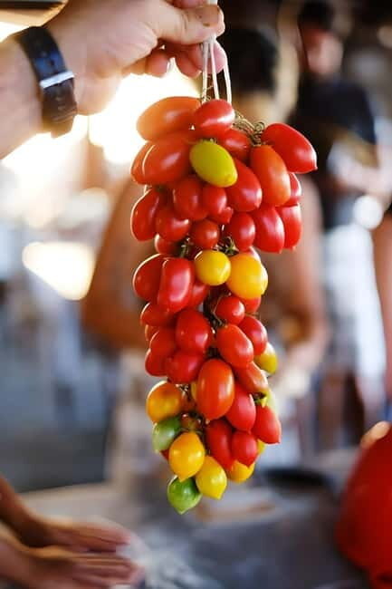 Amalfi: Grow your own vegetables and enjoy lunch with wine - Who Should Consider This Tour?
