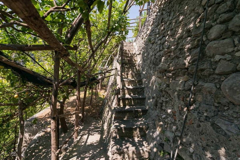 Amalfi Monumental Garden - Lemon Grove Guided Tour - The Itinerary in Detail