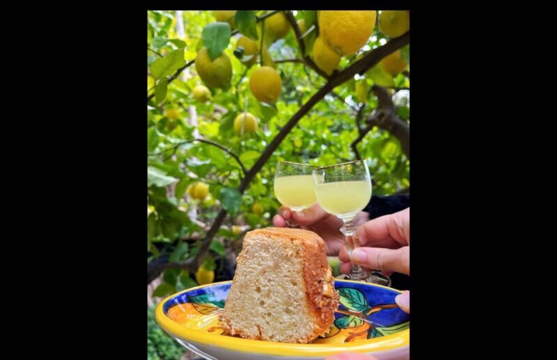 Amalfi Organic Lemon Tour & Tasting in the Historical Garden - Summary: Is the Amalfi Lemon Tour for You?