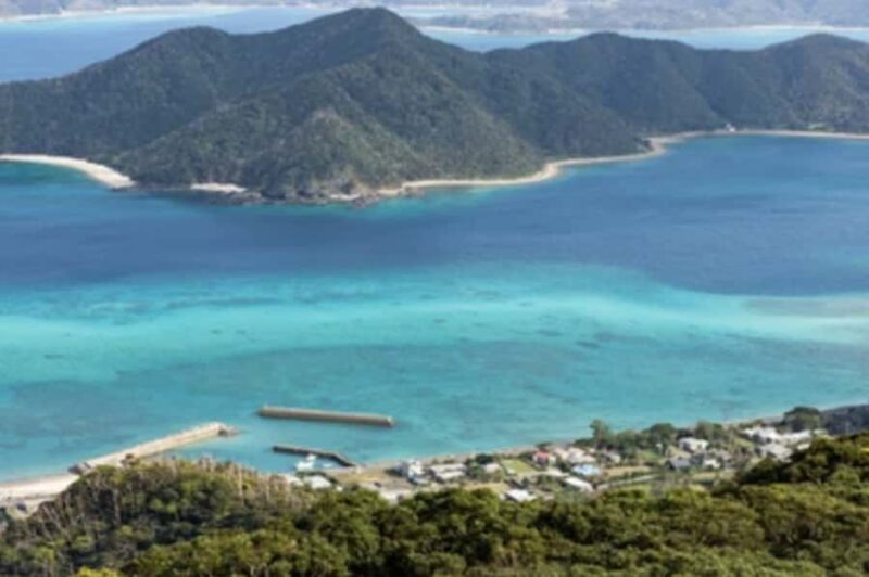 Amami Oshima Island Private Custom Tour with Local Guide - A Day in the Life on Amami Oshima: What to Expect