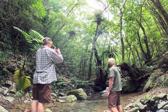 Amami Oshima Mangrove Kayaking, Waterfall and Cape Walking Tour - Introduction