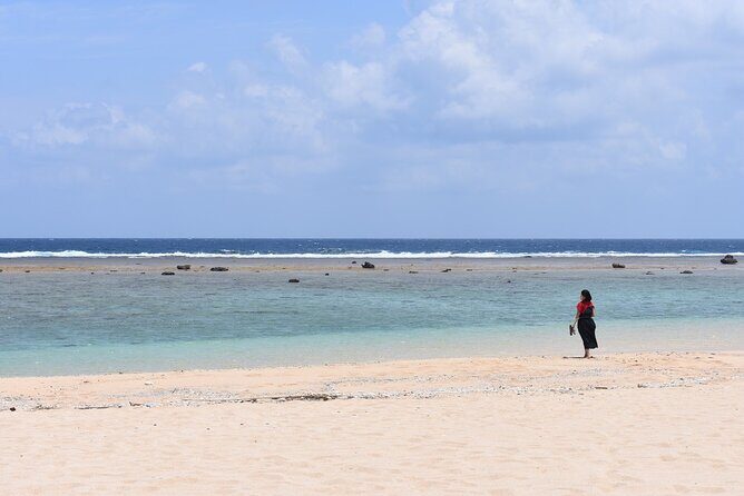 Amami Oshima Mangrove Kayaking, Waterfall and Cape Walking Tour - Who Would Enjoy This Tour?