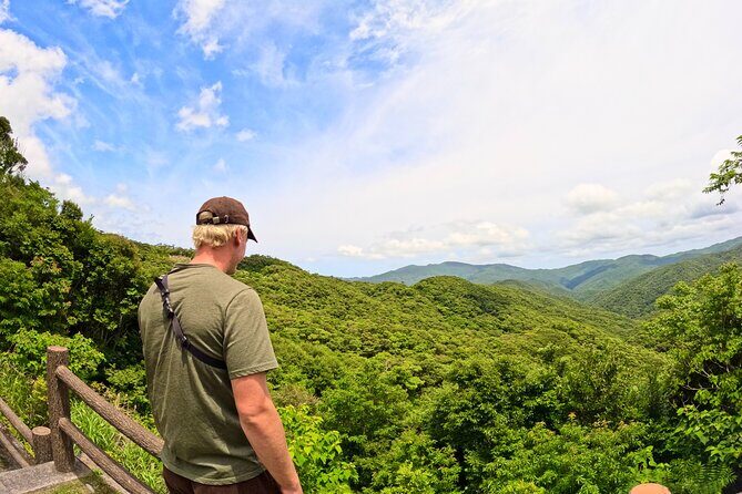 Amami Oshima Mangrove Kayaking, Waterfall and Cape Walking Tour - Final Thoughts