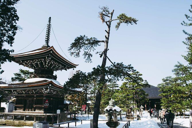 Amanohashidate and Miyama One Day Tour With Lunch - FAQ