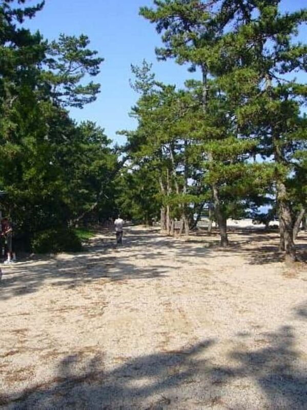 Amanohashidate: Guided Coastal Cycling Tour with Lunch - Practical Details and Tips