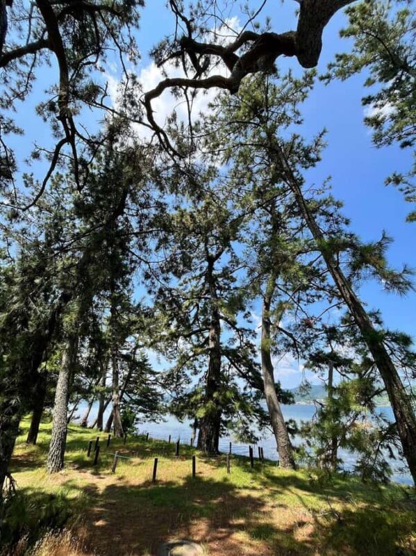 Amanohashidate: Hidden Temples Walking Tour with Meditation - FAQ