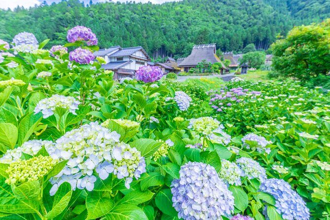 Amanohashidate Ine Funaya and Miyama Thatched Village Tour - An In-Depth Look at the Tour
