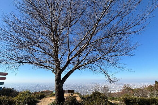 Amanohashidate Ine Funaya Miyama Village No Sato Tour from Osaka - Practical Considerations