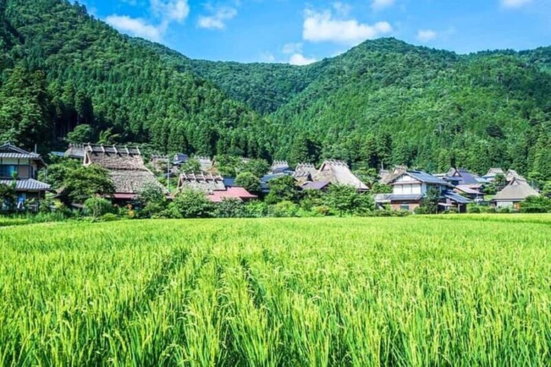 Amanohashidate: Ine Village Photo Safari with Boat Ride - Who Will Enjoy This Tour?