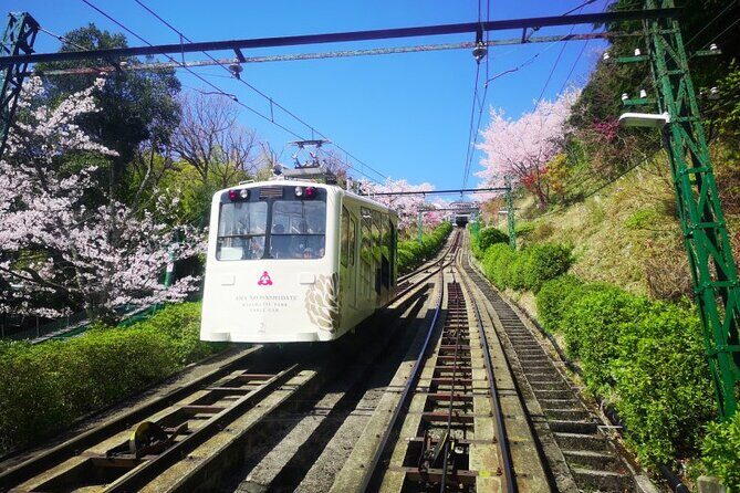 Amanohashidate & Miyama 1-Day Bus Tour: From Osaka/Kyoto w/ Lunch - An In-Depth Look at the Tour Experience