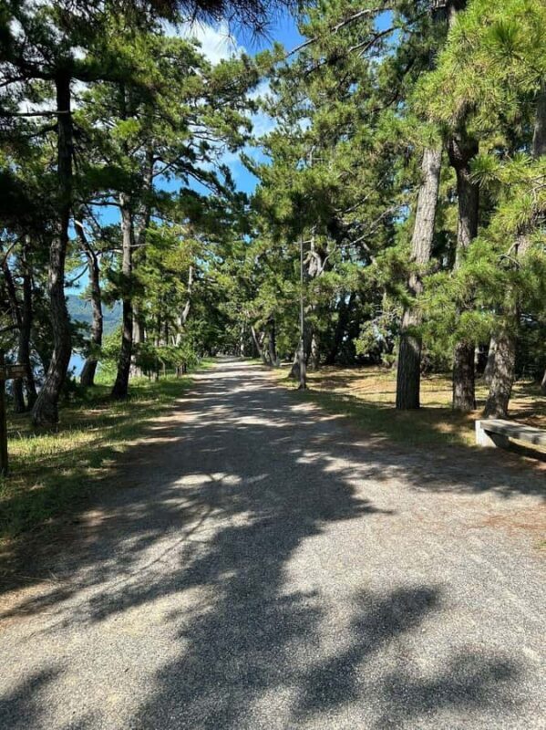 Amanohashidate: Sunrise Sandbar Stroll with Breakfast - Key Points
