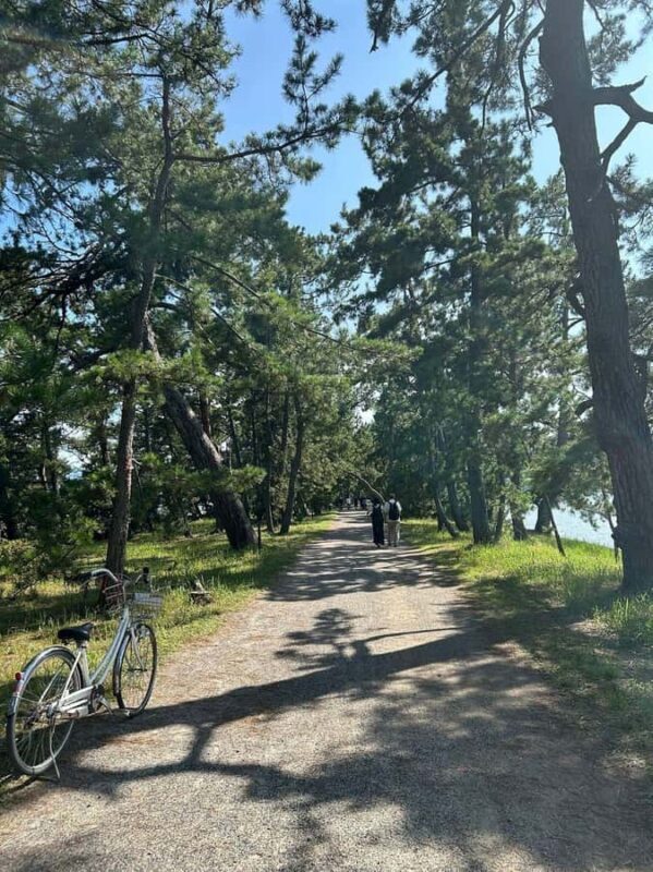 Amanohashidate: Sunrise Sandbar Stroll with Breakfast - The Value Proposition