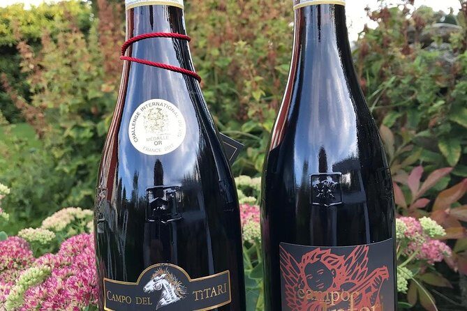Amarone-Valpolicella private tour. Visit Verona. From Venice - Exploring the Experience: What to Expect from the Tour