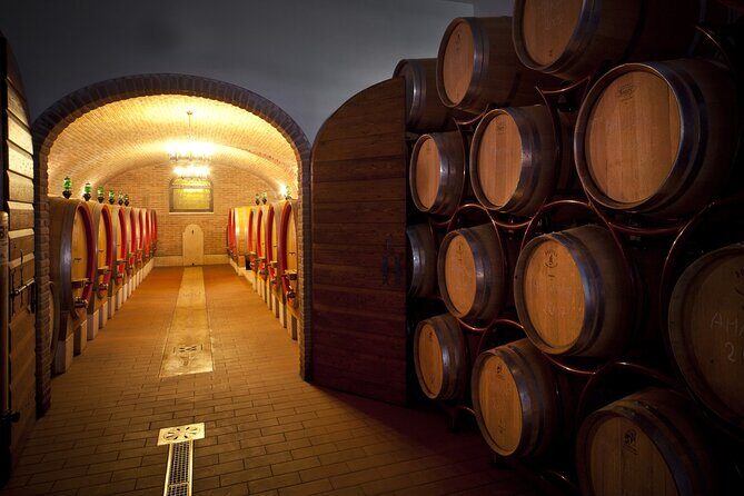 Amarone-Valpolicella private tour. Visit Verona. From Venice - Who Should Consider This Tour?