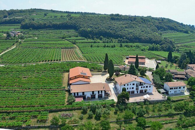 Amarone-Valpolicella private tour. Visit Verona. From Venice - Wrapping Up