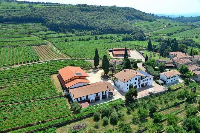Amarone Wine Tasting from Verona - How This Tour Adds Value for Travelers