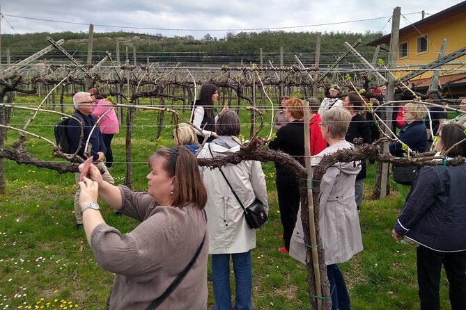 Amarone Wine Tasting from Verona - FAQs