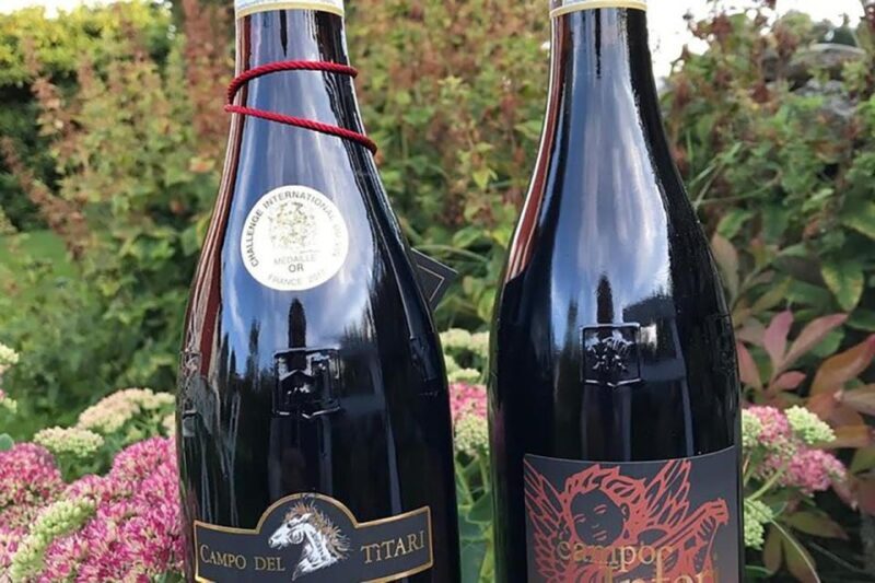 Amarone Wine Tasting Tour. Visit Verona. From Venice - A Deeper Look: What Makes This Tour Special