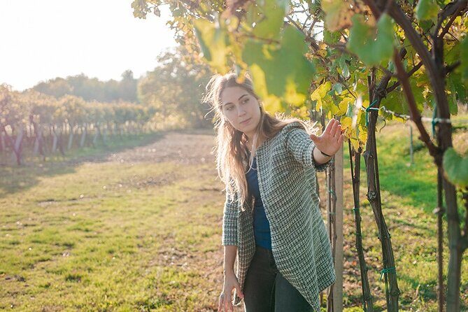 Amarone Wine Tour - Who Will Love This Tour?