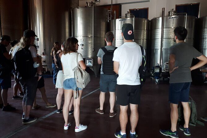 Amarone Wine Tour - A Deep Dive into the Amarone Wine Tour Experience