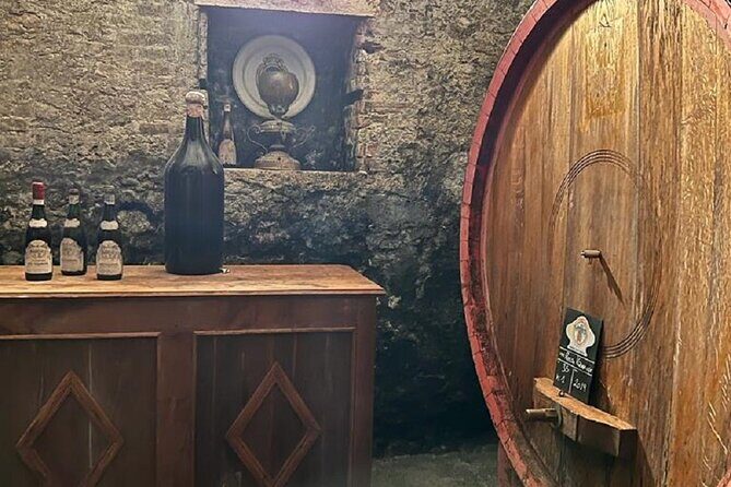 Amarone Wine Tour with 2 Wineries Lunch and Private Transfer - A Deep Dive into the Experience