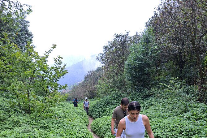 Amazing 1 Day Trekking Experience in Kathmandu Nepal - Who Should Consider This Tour?