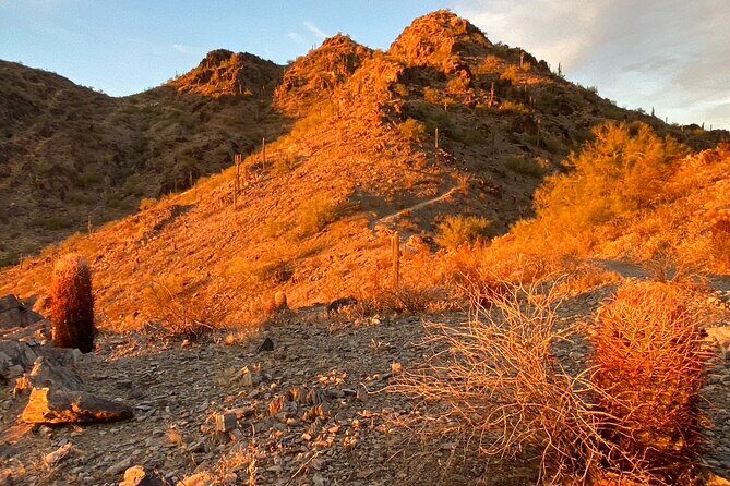 Amazing 2-Hour Guided Hiking Adventure in Phoenix, Arizona - Frequent Concerns & Practical Tips