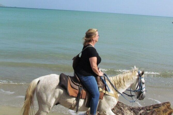 Amazing 3-Hour Horseback Riding at Puerto Plata with Pickup - Reviews in Context