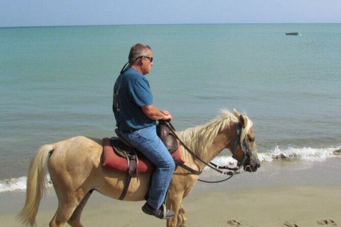 Amazing 3-Hour Horseback Riding at Puerto Plata with Pickup - The Sum Up: Who Is This Tour Best For?