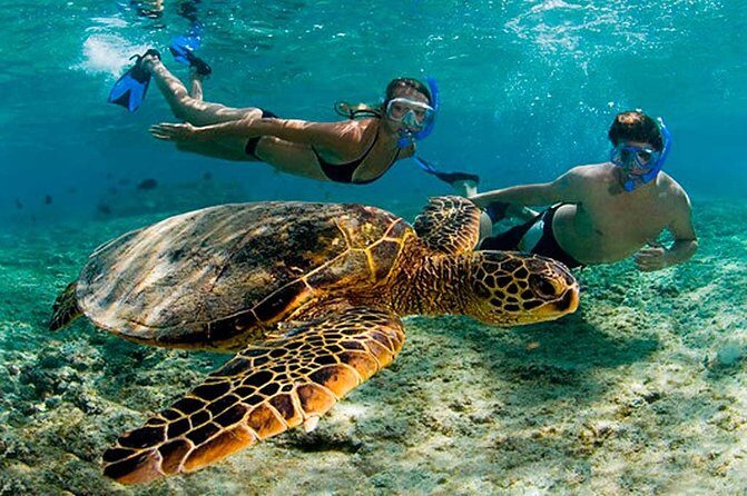 Amazing Adventure in Akumal. Swim with turtles and discover Tulum Ruins. - The Itinerary: What to Expect on Your Day