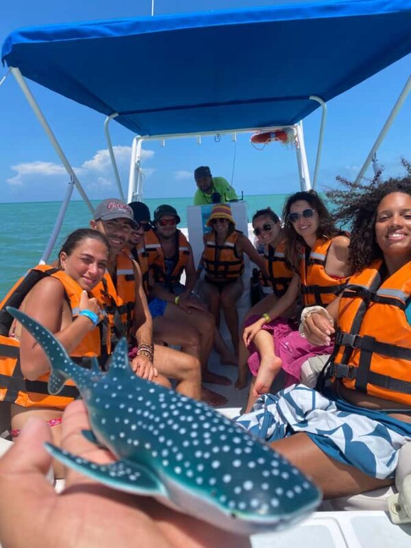 Amazing Adventure, Search and Swim with Whale Sharks on Holbox Island - Key Points