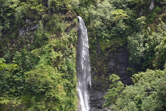 Amazing attractions of Tahiti charming island  Private half day circle tour - The Sum Up