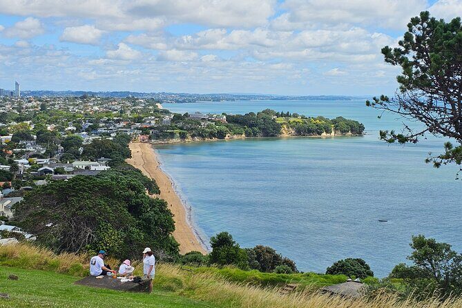 Amazing Auckland City Half Day Guided Tour - Practicalities and Comforts