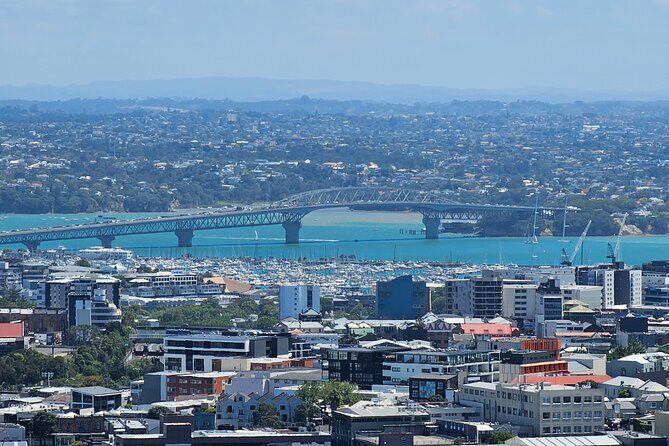 Amazing Auckland City Half Day Guided Tour - Authentic Experiences and Local Insights